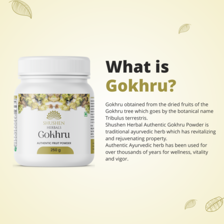 Benefits of Gokhru Powder: How to Use It? 5 Simple Gokhru Recipes.